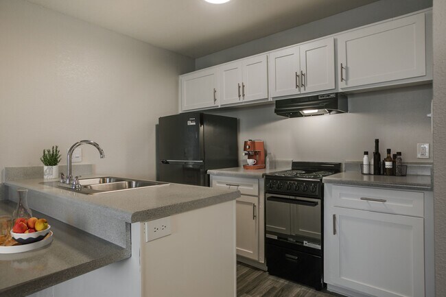 Cinnamon Tree - Apartments in Albuquerque, NM | Apartments.com