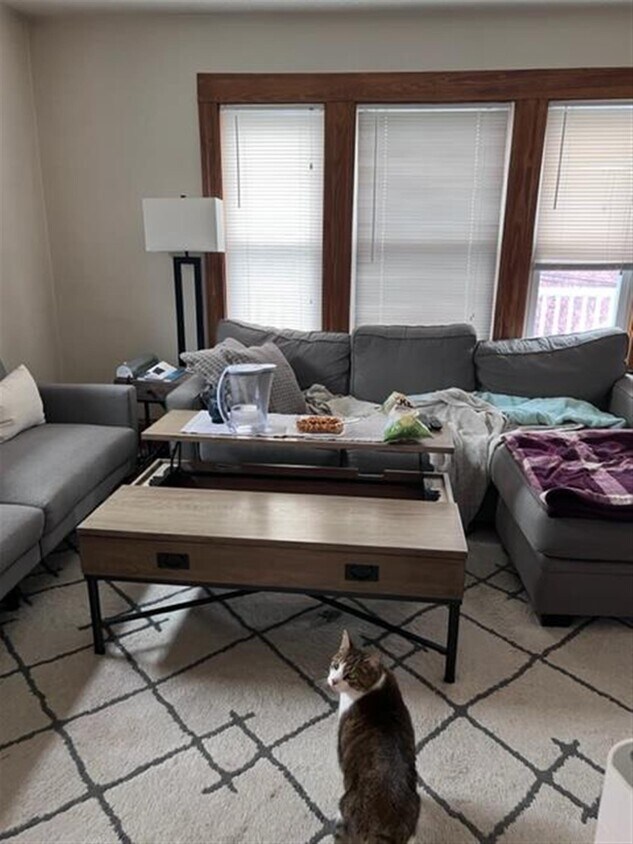 8 Cady Ave Unit 2, Somerville, MA 02144 - 8 Cady Ave Somerville, MA ...