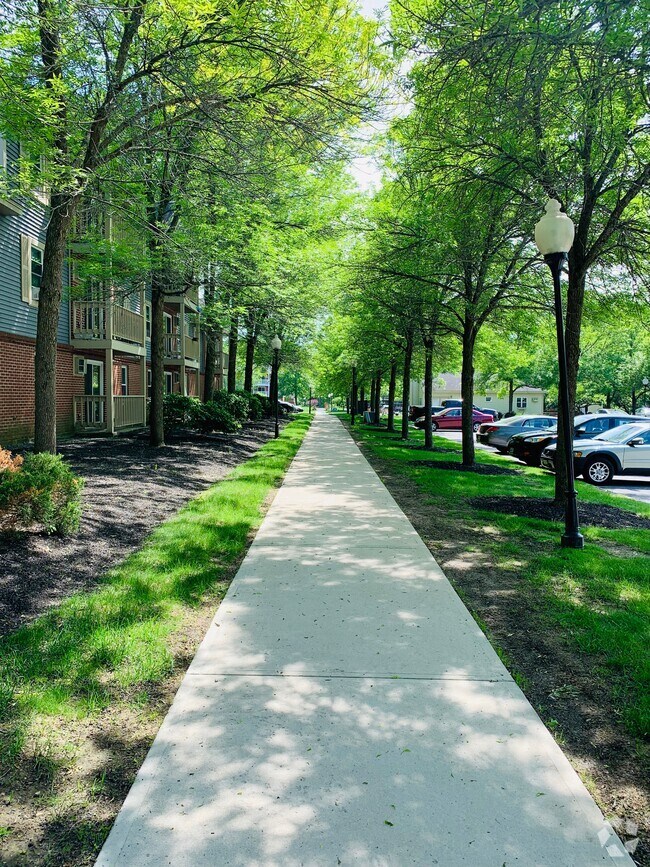 Rock Row Apartments for Rent with a Swimming Pool - Portland, ME ...