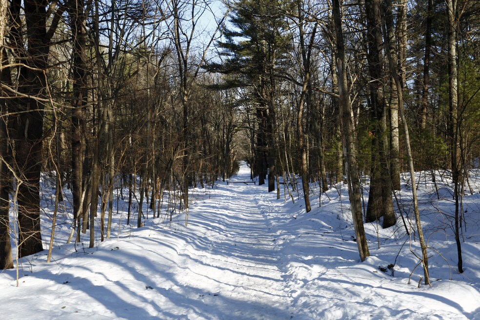 Is Georgetowne a Good Place To Live in Boston MA? - Neighborhood Guide ...