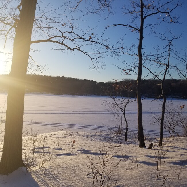 Woodcrest Pointe Houses for Rent with a Swimming Pool - 1 Homes ...