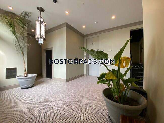 1258 Massachusetts Ave. - Alquileres en Boston, MA | Apartamentos.com