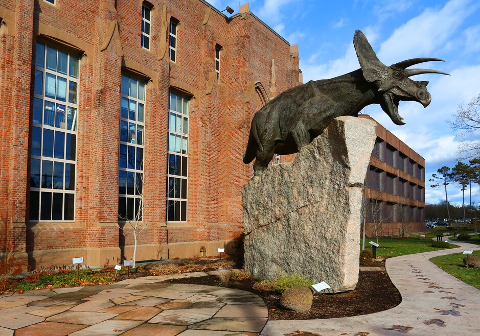 Is Fair Haven a Good Place To Live in New Haven CT? - Neighborhood ...