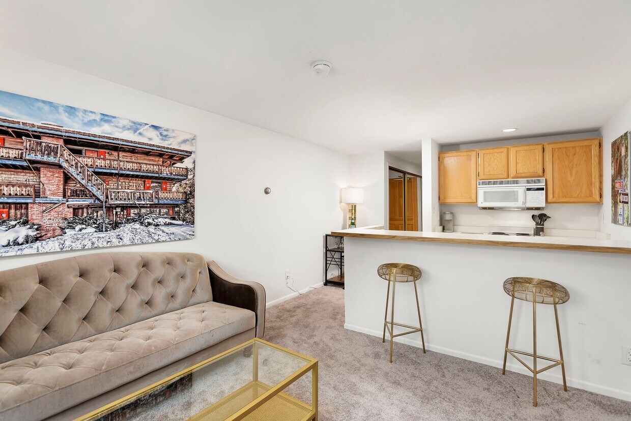 119 E Cooper Ave Unit 24, Aspen, CO 81611 - Condo for Rent in Aspen, CO ...