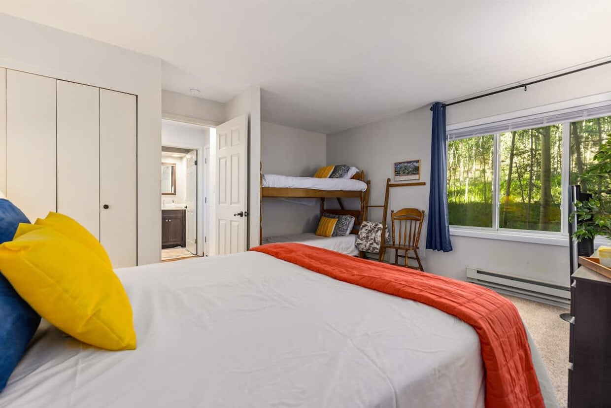 246 Broken Lance Dr Unit ID1387654P, Breckenridge, CO 80424 ...