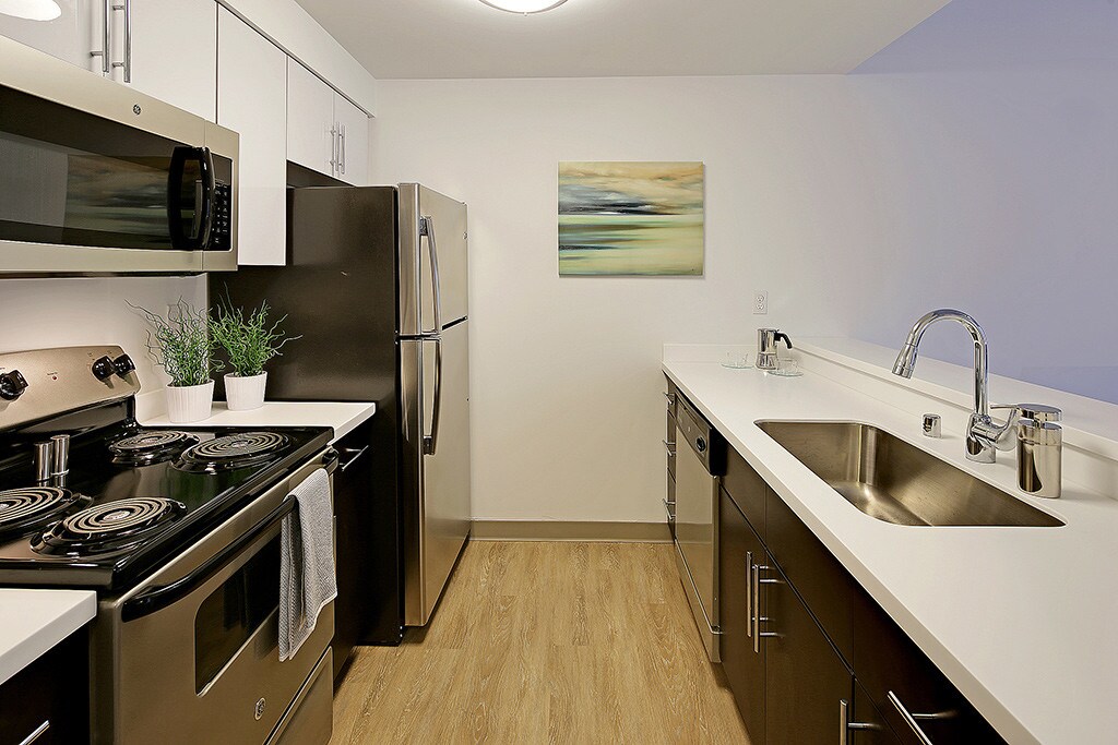 Elan 41 Apartments - Seattle, WA | Apartments.com