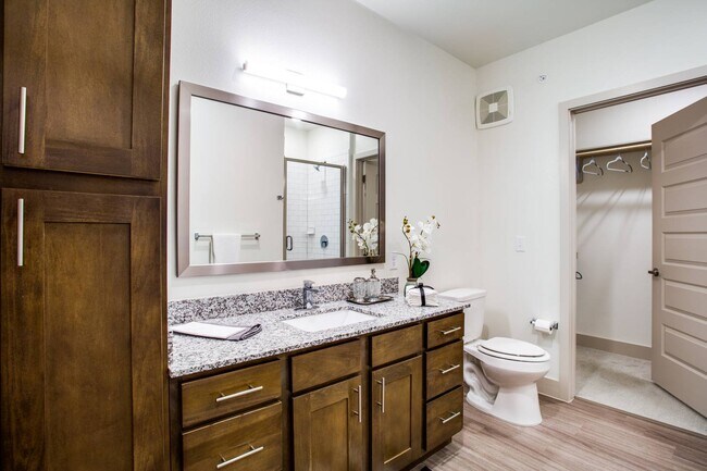 The Vista at Rayzor Ranch - Apartments in Denton, TX | Apartments.com