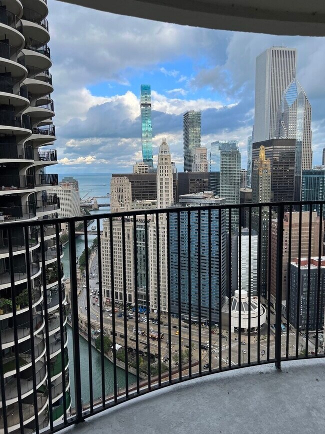 300 N State St Unit 5008, Chicago, IL 60654 - Condo for Rent in Chicago ...