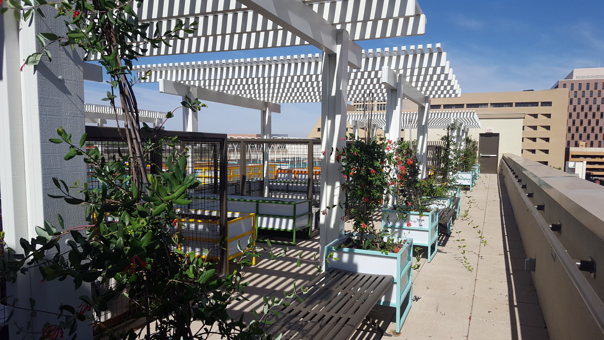 Albuquerque Development News | Page 548 | SkyscraperCity Forum