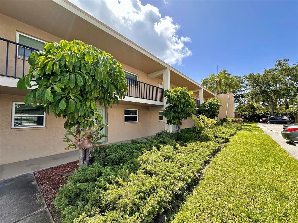 12300 Park Blvd Unit 109, Seminole, FL 33772 - Room for Rent in ...