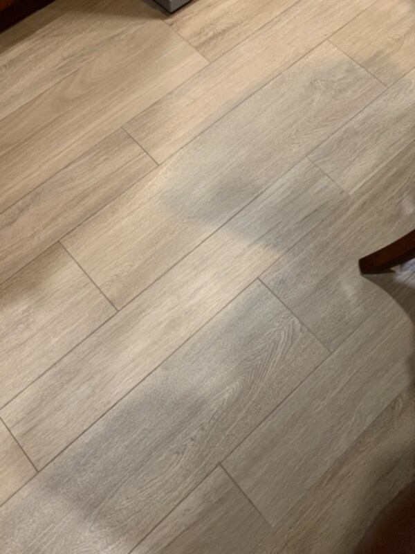 1658 Parker St, The Bronx, NY 10462 | Apartments.com