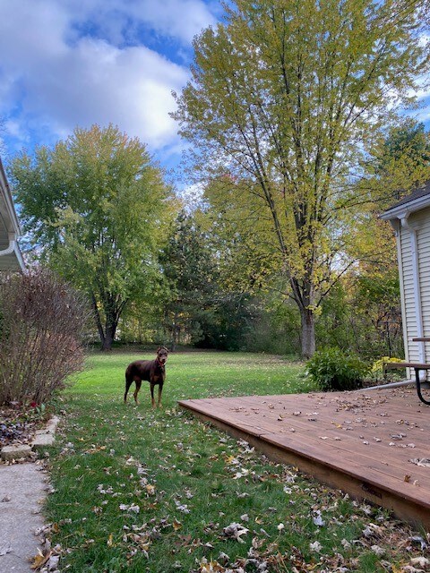 1032 Tainter St, Menomonie, WI 54751 | Apartments.com