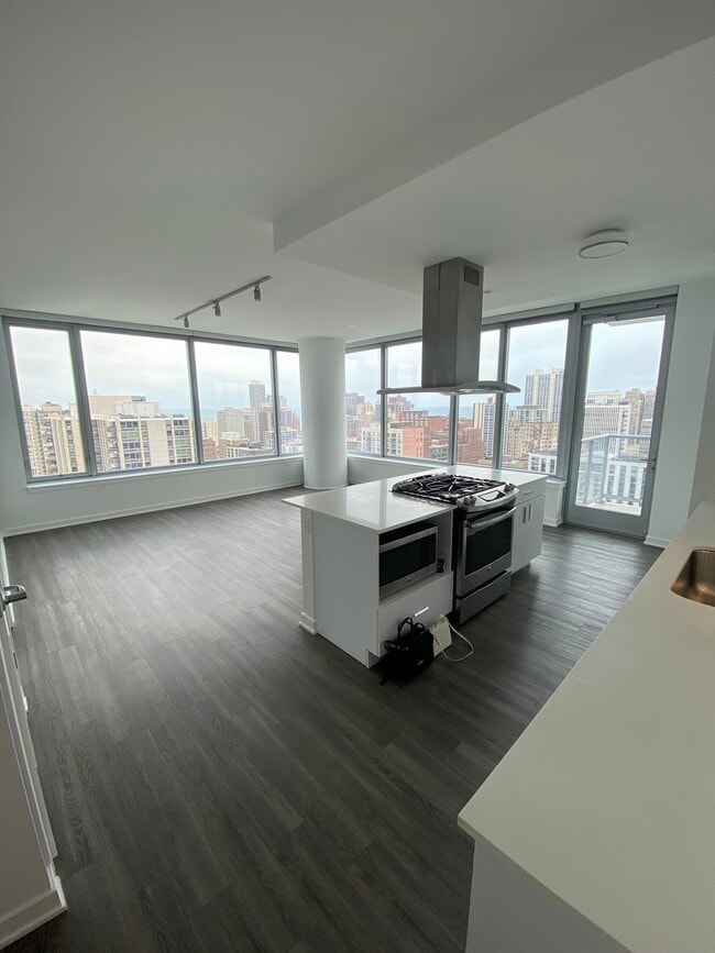 Downtown Chicago Apartments for Rent with Hardwood Floors - Chicago, IL ...