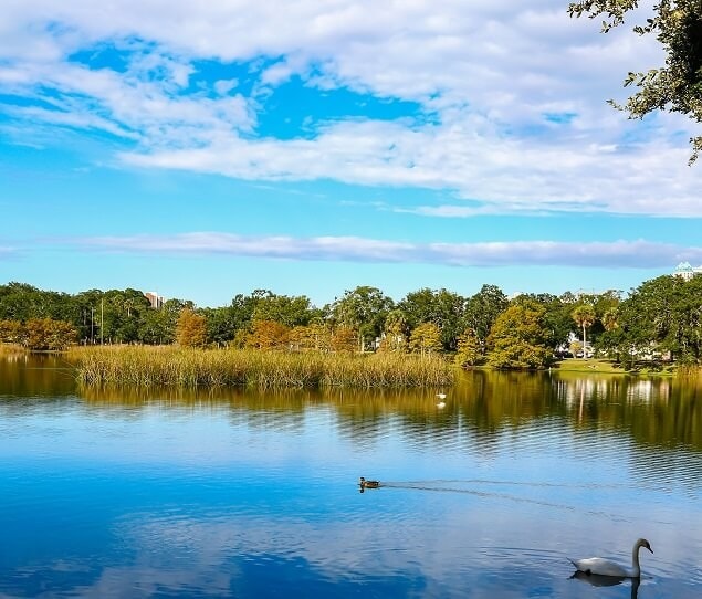 Is Delaney a Good Place To Live in Orlando FL? - Neighborhood Guide by ...