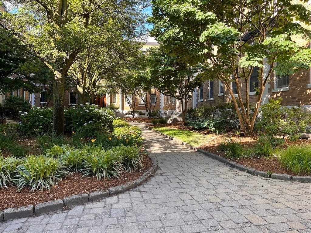 854 Massachusetts Ave Unit 4, Cambridge, MA 02139 - Room for Rent in ...