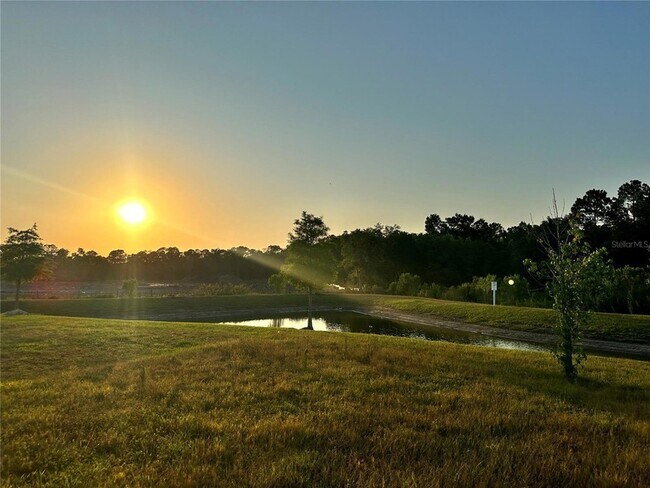 35525 Stella Vast Dr, Zephyrhills, FL 33541 | Apartments.com