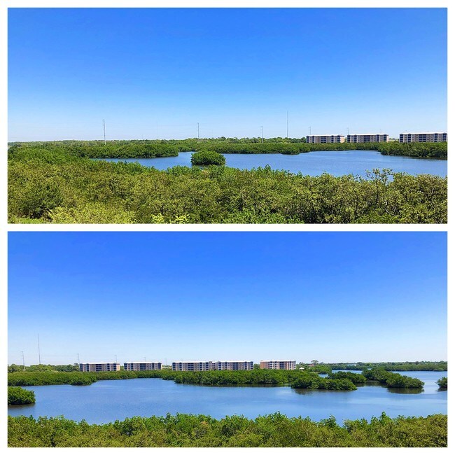 The Addison On Long Bayou Apartments - Seminole, FL | Apartments.com