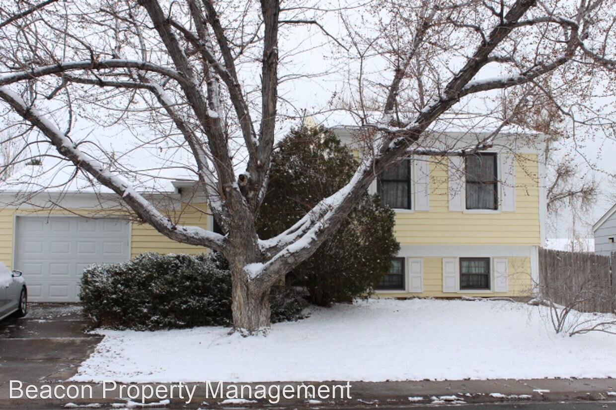 19654 E Buchanan Pl, Aurora, CO 80011 - House Rental in Aurora, CO ...