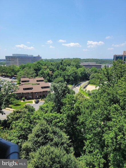 Tysons West Apartments for Rent with a Walk-In Closet - Vienna, VA ...