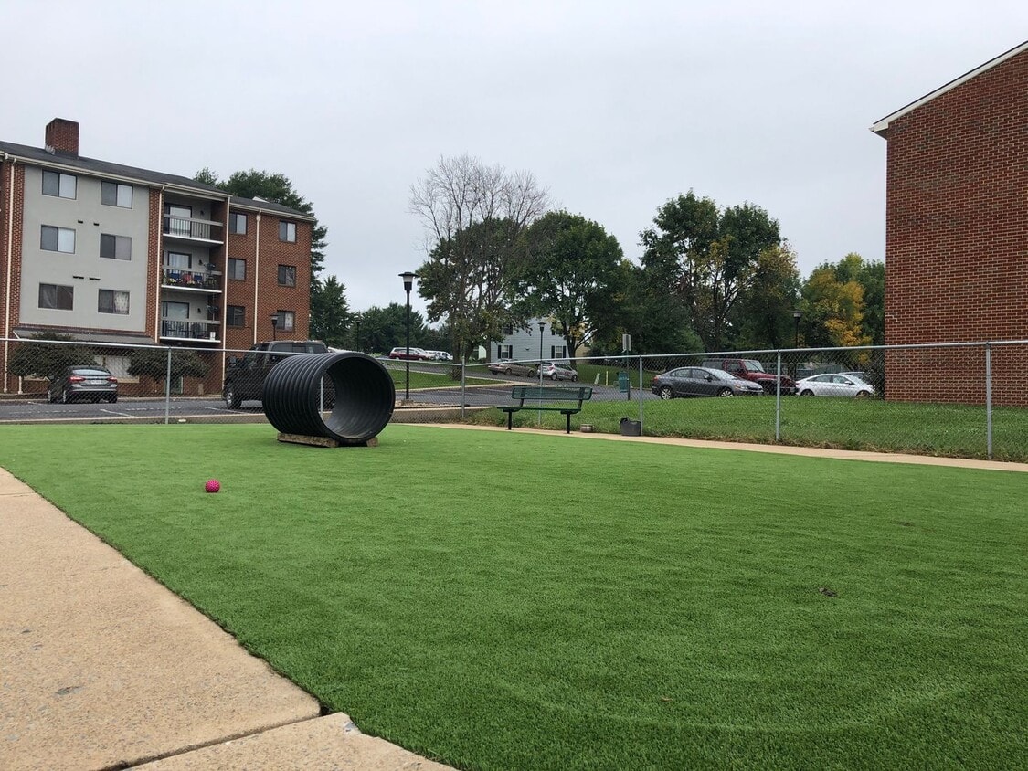 1034 Blue Ridge Dr, Harrisonburg, VA 22802 - House Rental in ...