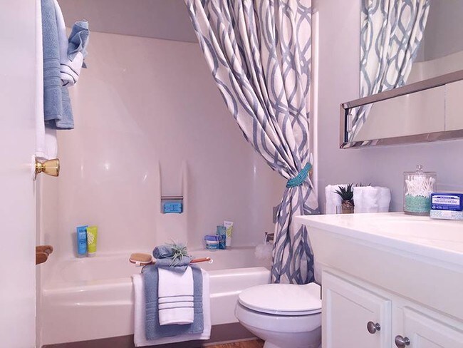 Alpine Commons Rentals - Amherst, MA | Apartments.com