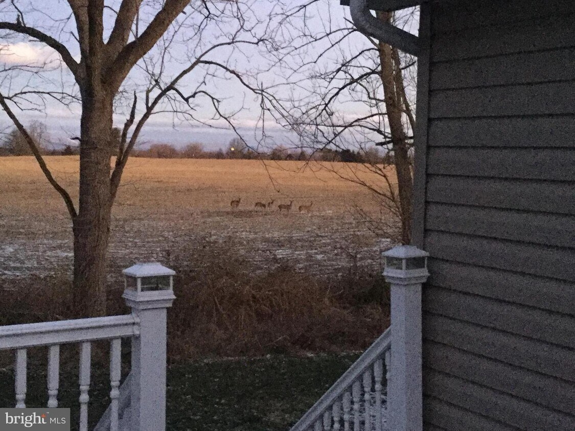 1067 Kunkle Dr, Chambersburg, PA 17202 - House Rental in Chambersburg ...