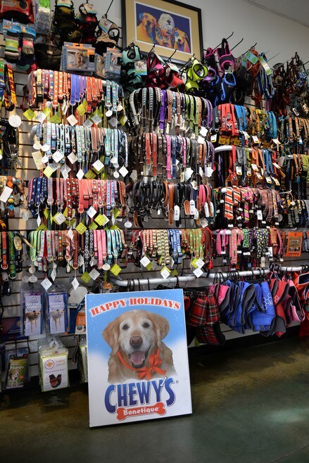 Is Lowry Field a Good Place To Live in Denver CO? - Neighborhood Guide ...