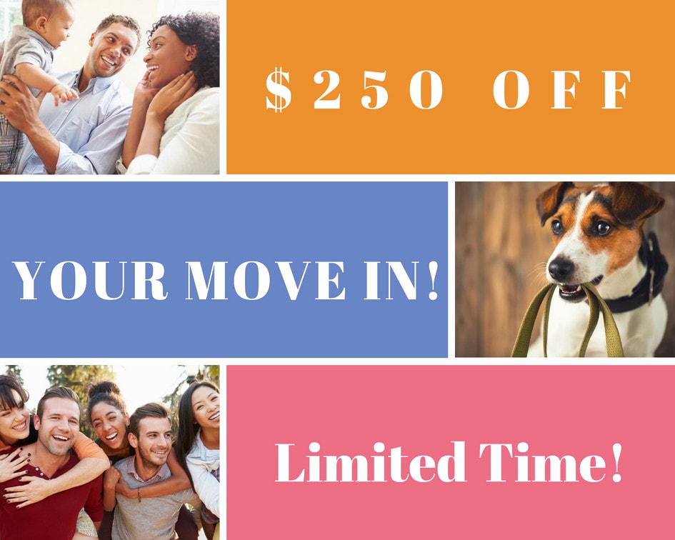 Promenade Terrace Rentals - Corona, CA | Apartments.com