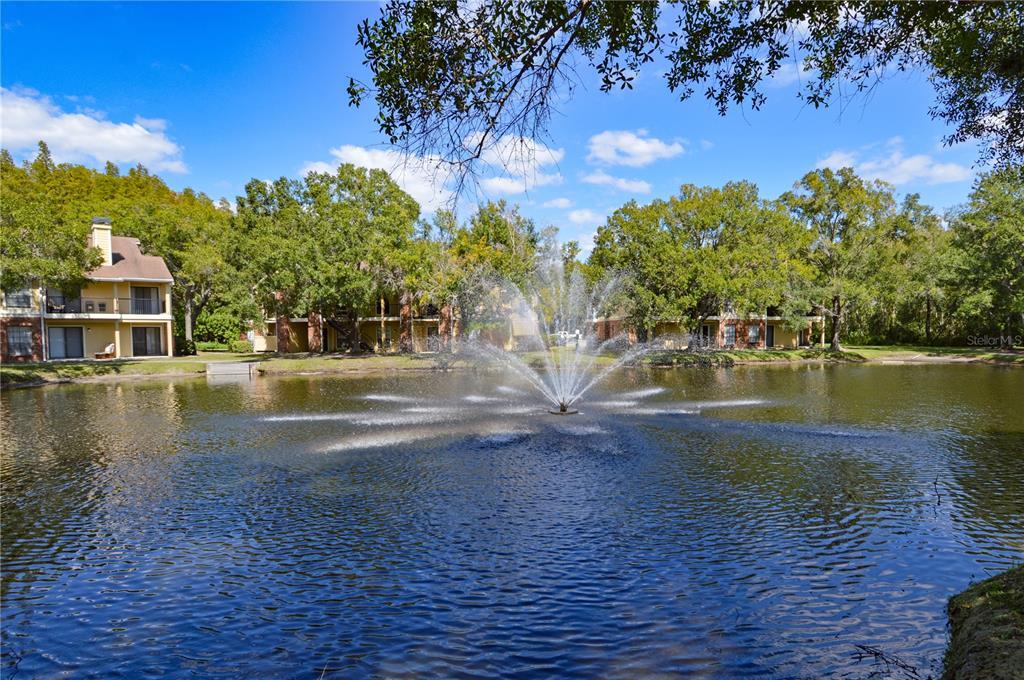8633 Fancy Finch Dr Unit 201, Tampa, FL 33614 - Condo for Rent in Tampa ...