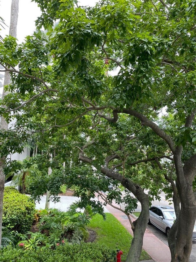 1340 Lincoln Rd Unit 200, Miami Beach, FL 33139 - Condo for Rent in ...