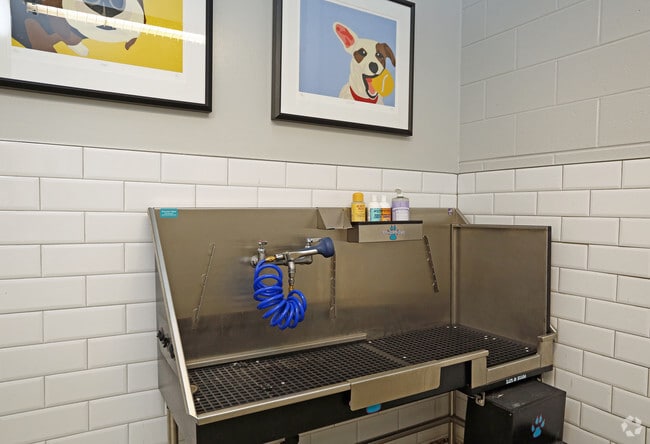 The Dillon Apartments - Raleigh, NC | Apartments.com