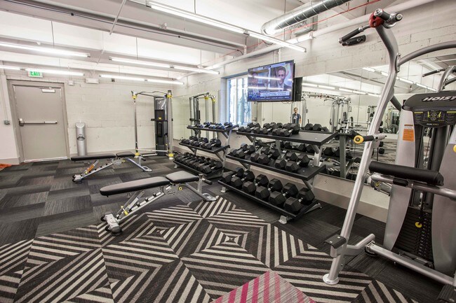 Mint Urban Infinity Apartments - Denver, CO | Apartments.com