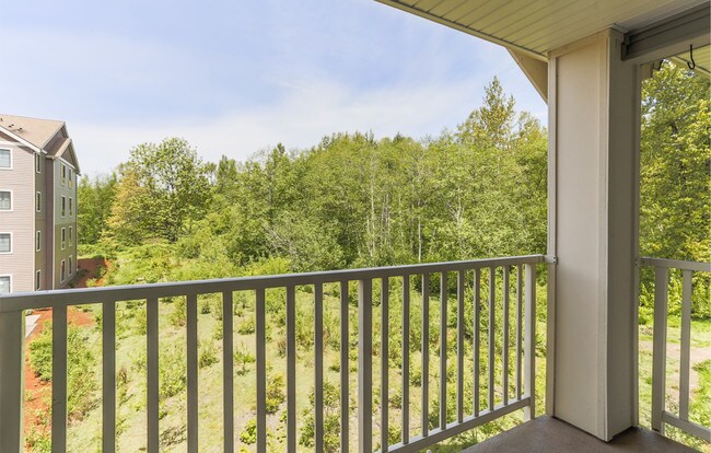 Willow Tree Grove Apartments - Bothell, WA | Apartments.com