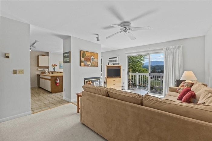 110 Mountainside Dr Unit 110, Stowe, VT 05672 - Condo for Rent in Stowe ...