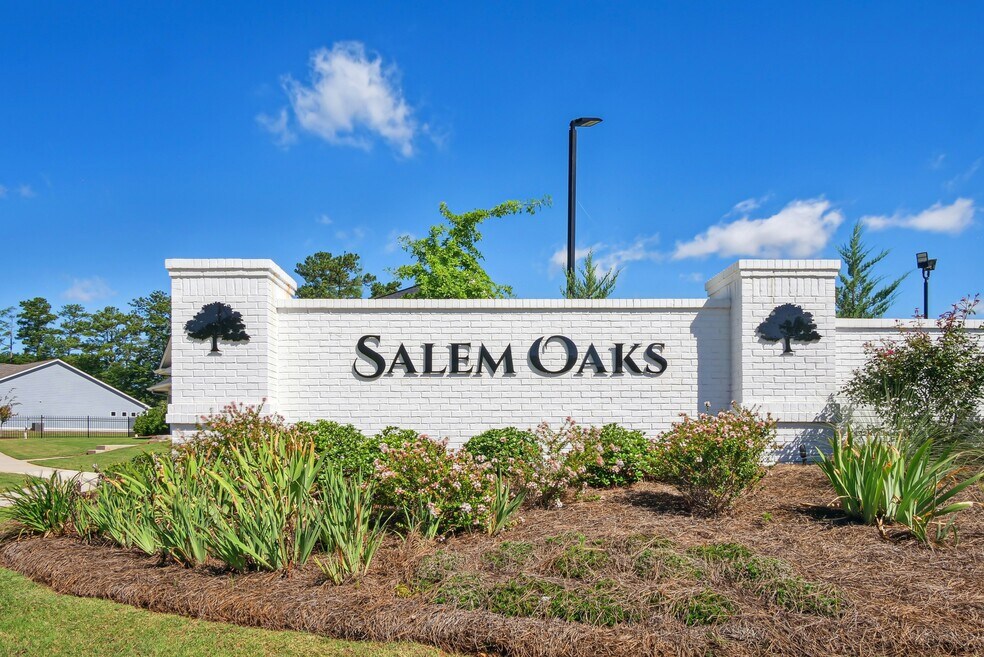 The Estates at Cameron Manor Houses for Rent with High Ceilings - 18 ...
