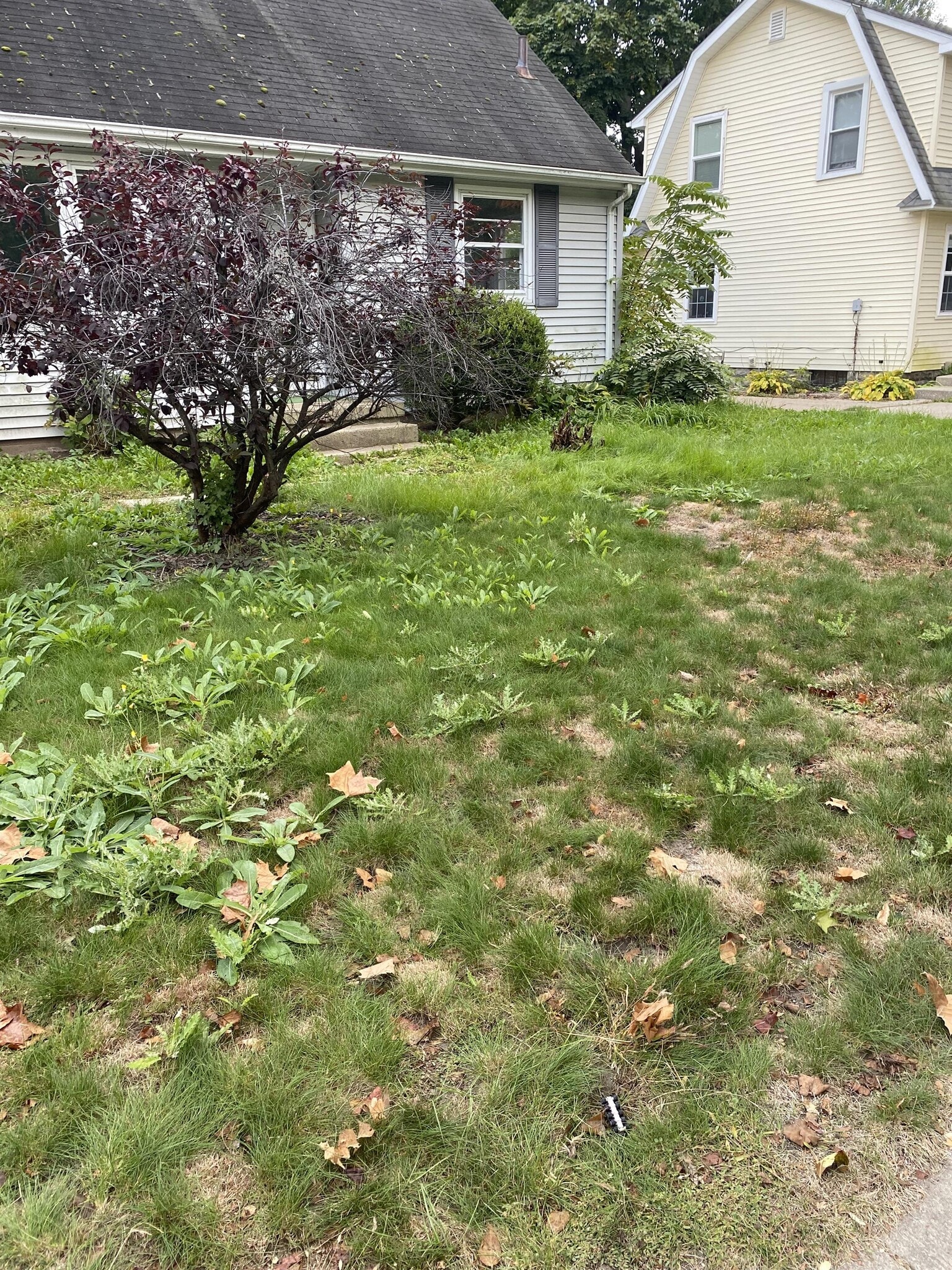 1318 E Ashman St, Midland, MI 48642 - House Rental in Midland, MI ...