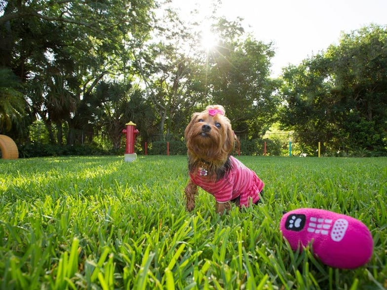 Domain 3201 Rentals - Tucson, AZ | Apartments.com