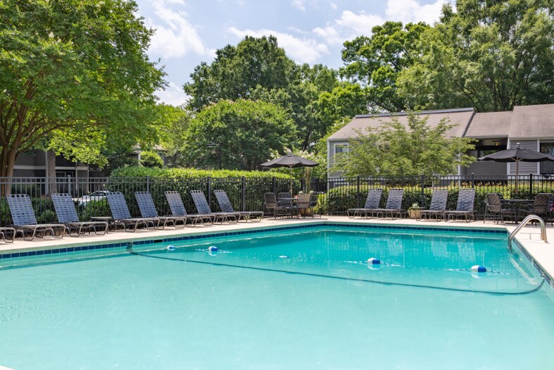 Black Pest Control Anderson Sc | Pest Control