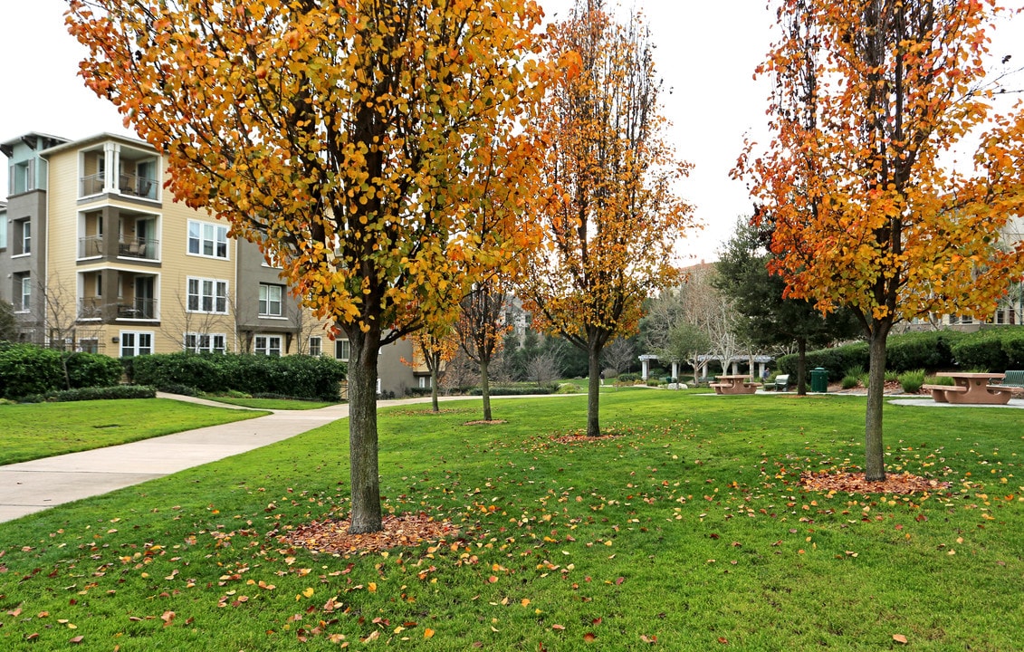 Is Downtown Walnut Creek a Good Place To Live in Walnut Creek CA ...
