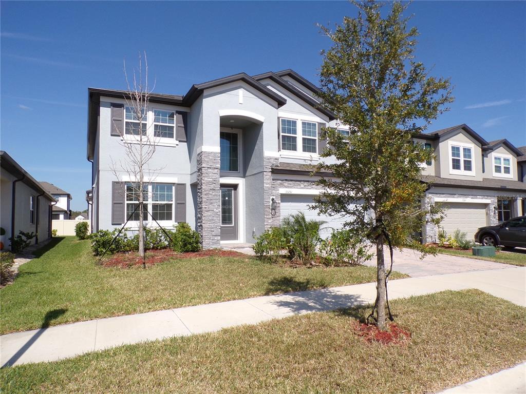 33251 Sycamore Leaf Dr, Wesley Chapel, FL 33545 - House Rental in ...