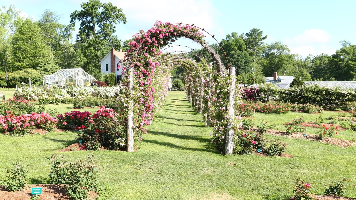 Is West End a Good Place To Live in Hartford CT? - Neighborhood Guide ...