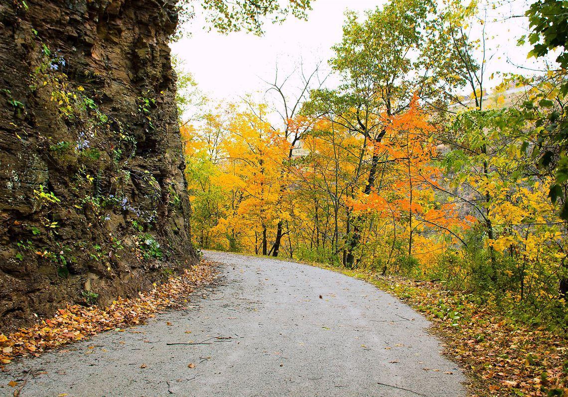 1862 Shaw Ave Unit 2, Pittsburgh, PA 15217 - 1862 Shaw Ave Pittsburgh ...