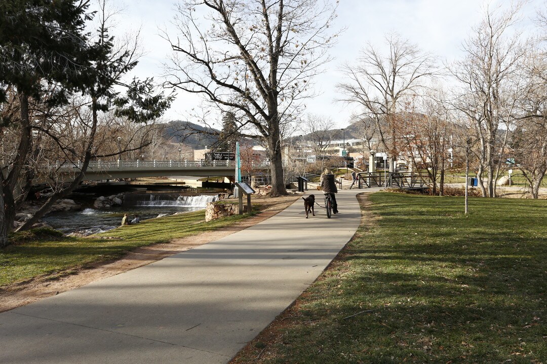 Glenwood Grove North Iris
