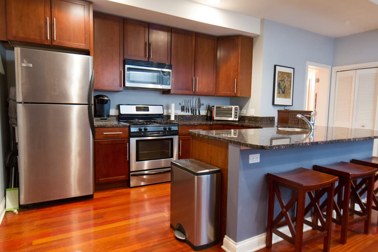 1100 N Paulina St Unit 1100 N Paulina, Chicago, IL 60622 - Condo for ...