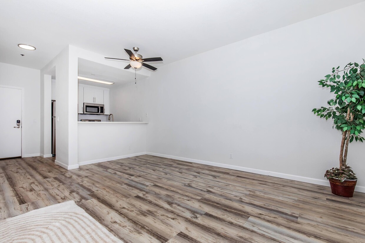 Paloma Vista - 1277 San Tomas Aquino Rd San Jose, CA 95117 | Apartments.com