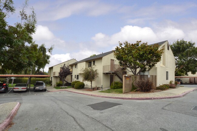 Meadow View Apartments Apartments - Watsonville, CA | Apartments.com