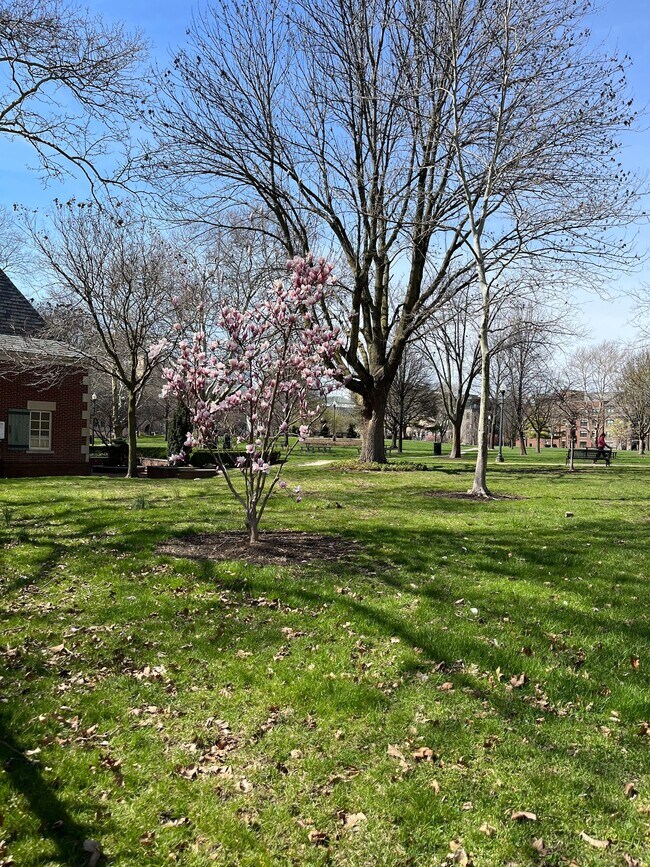 Washington Place Apartments - Apartments in Columbus, OH | Apartments.com