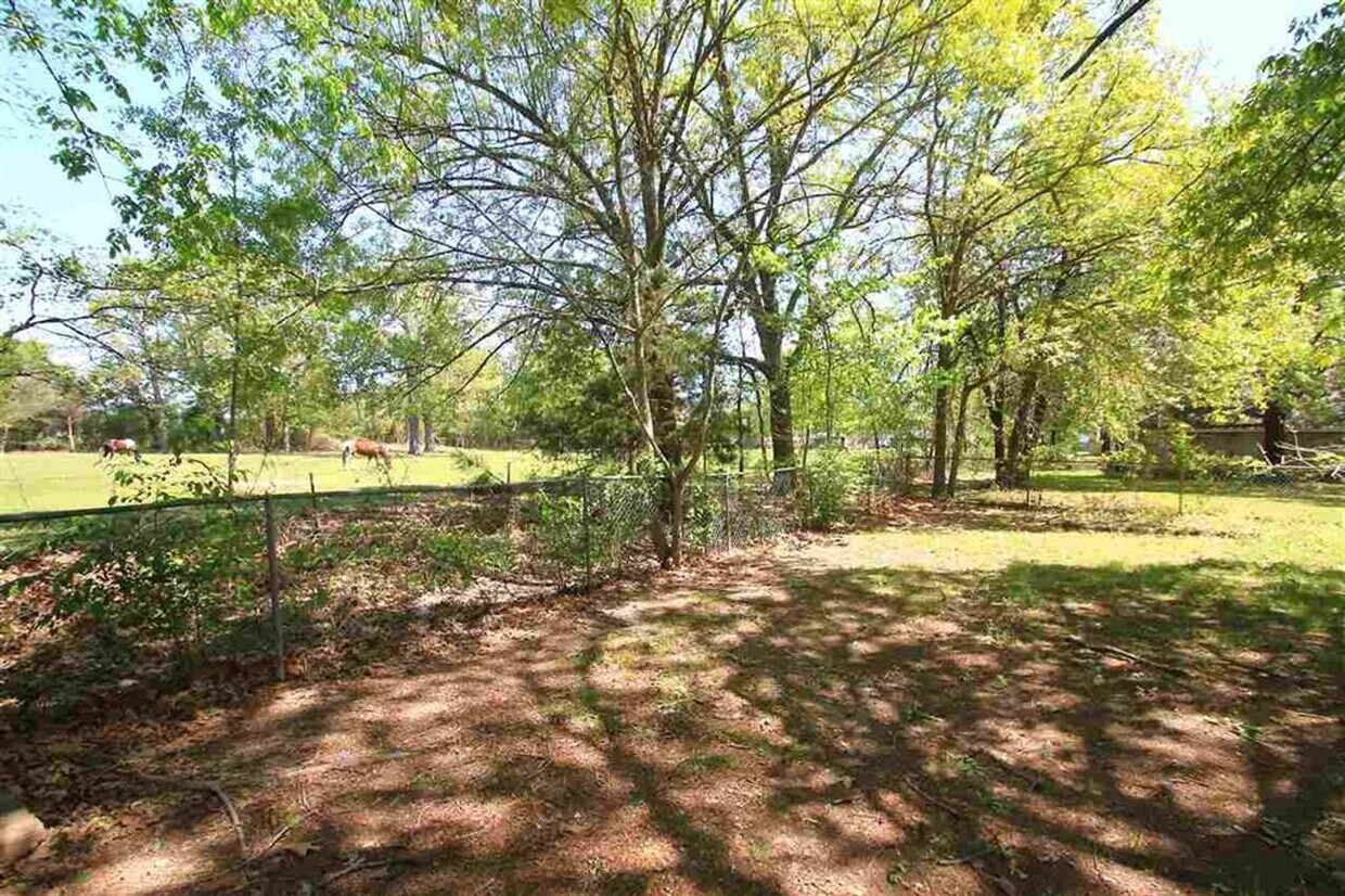 720 Town E Dr, Reno, TX 75462 - House Rental in Reno, TX | Apartments.com