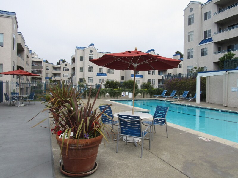 535 Pierce St Unit 1311, Albany, CA 94706 | Apartments.com