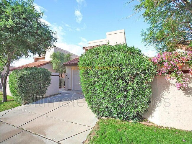 11048 N 109th St, Scottsdale, AZ 85259 - House Rental in Scottsdale, AZ | Apartments.com